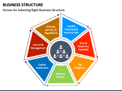 Business Structure PowerPoint and Google Slides Template - PPT Slides