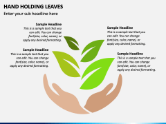 Hand Holding Leaves PowerPoint and Google Slides Template - PPT Slides