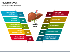 Healthy Liver PowerPoint and Google Slides Template - PPT Slides