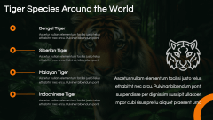 Free - Tiger Presentation for PowerPoint and Google Slides - PPT Slides