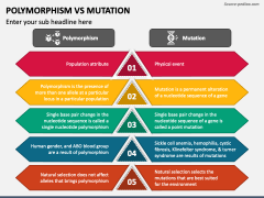 Polymorphism Vs Mutation PowerPoint and Google Slides Template - PPT Slides