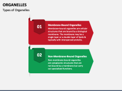 Organelles PowerPoint and Google Slides Template - PPT Slides