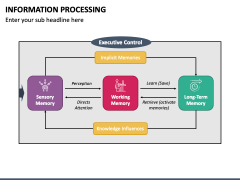 Information Processing PowerPoint and Google Slides Template - PPT Slides