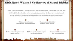 Theories of Evolution PowerPoint and Google Slides Template - PPT Slides