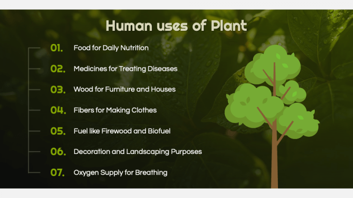 Free - Botany Lesson Presentation for PowerPoint and Google Slides ...
