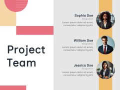 IT Project Summary PowerPoint and Google Slides Template - PPT Slides