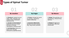 Spinal Tumor PowerPoint and Google Slides Template - PPT Slides