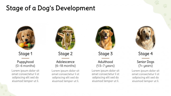 Dog Training Presentation Theme for PowerPoint and Google Slides ...