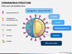 Coronavirus Structure PowerPoint and Google Slides Template - PPT Slides