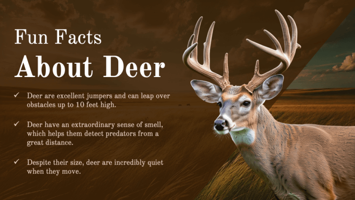 Free - Deer Presentation for PowerPoint and Google Slides - PPT Slides
