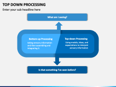 Top Down Processing PowerPoint and Google Slides Template - PPT Slides