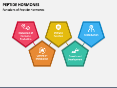 Peptide Hormones PowerPoint and Google Slides Template - PPT Slides