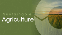 Sustainable Agriculture PowerPoint and Google Slides Template - PPT Slides