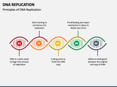 Free - DNA Replication PowerPoint and Google Slides Template - PPT Slides