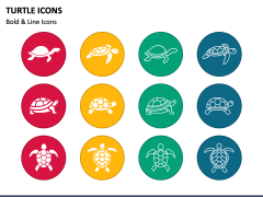 Turtle Icons for PowerPoint and Google Slides - PPT Slides