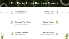 Free - Bamboo Forest Theme for PowerPoint and Google Slides - PPT Slides