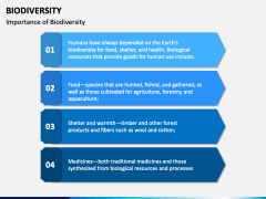 Biodiversity PowerPoint and Google Slides Template - PPT Slides