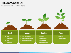 Tree Development PowerPoint and Google Slides Template - PPT Slides