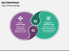 Bacteriophage PowerPoint and Google Slides Template - PPT Slides