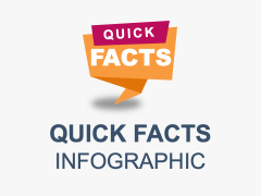 Quick Facts Infographics for PowerPoint and Google Slides - PPT Slides