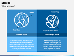 Stroke PowerPoint and Google Slides Template - PPT Slides