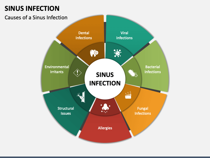 Sinus Infection PowerPoint and Google Slides Template - PPT Slides