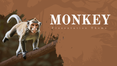 Free - Monkey Presentation for PowerPoint and Google Slides - PPT Slides