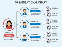 Animated Organizational Chart for PowerPoint and Google Slides - PPT Slides