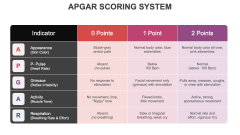 APGAR Scoring System PowerPoint and Google Slides Template - PPT Slides
