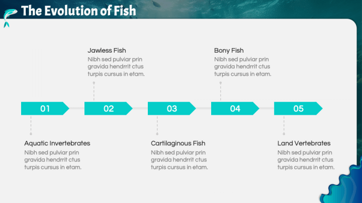 Free - Fish Presentation for PowerPoint and Google Slides - PPT Slides