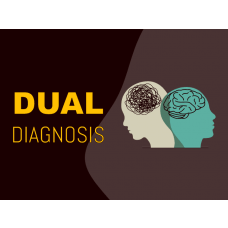 Vibrant PowerPoint & Google Slides Templates