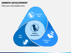 Embryo Development PowerPoint and Google Slides Template - PPT Slides