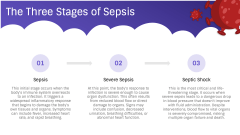 Sepsis PowerPoint and Google Slides Template - PPT Slides