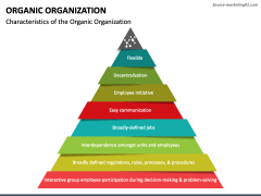Organic Organization PowerPoint and Google Slides Template - PPT Slides