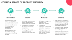 Product Maturity Model PowerPoint and Google Slides Template - PPT Slides