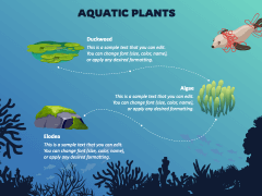 Free Ocean Presentation Theme for PowerPoint and Google Slides