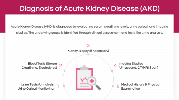 Acute Kidney Disease PowerPoint and Google Slides Template - PPT Slides