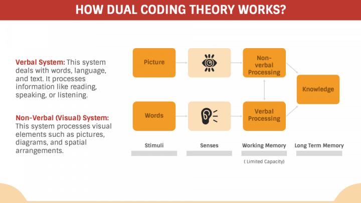 Dual Coding Theory PowerPoint and Google Slides Template - PPT Slides