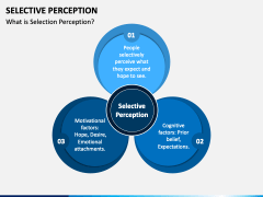 Selective Perception PowerPoint and Google Slides Template - PPT Slides