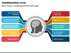 Cerebrospinal Fluid PowerPoint and Google Slides Template - PPT Slides