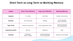 Working Memory PowerPoint and Google Slides Template - PPT Slides