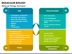 Molecular Biology PowerPoint and Google Slides Template - PPT Slides