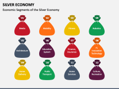 Silver Economy PowerPoint and Google Slides Template - PPT Slides