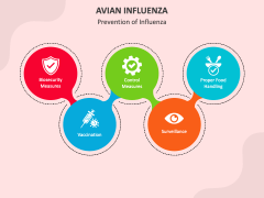 Avian Influenza PowerPoint and Google Slides Template - PPT Slides