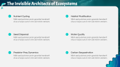 Free - Fish Presentation for PowerPoint and Google Slides - PPT Slides