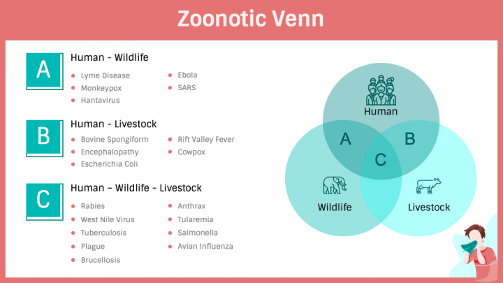 Zoonotic Diseases PowerPoint and Google Slides Template - PPT Slides