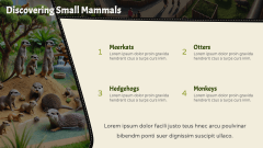 Free - Zoo Presentation Theme for PowerPoint and Google Slides - PPT Slides