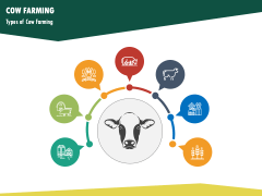 Cow Farming PowerPoint and Google Slides Template - PPT Slides