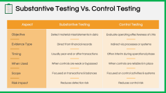 Substantive Testing PowerPoint and Google Slides Template - PPT Slides