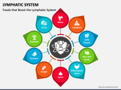 Lymphatic System PowerPoint and Google Slides Template - PPT Slides